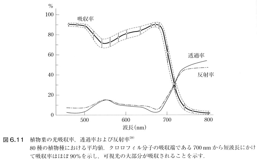 植物の感じる光（光合成） | POT – PLANTS AND LANDSCAPE （合同会社パワーオフタックル）