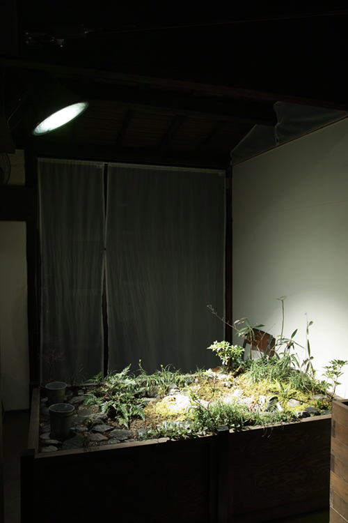 アセビが咲きました、事務所のなかで。 | POT – PLANTS AND LANDSCAPE （合同会社パワーオフタックル）